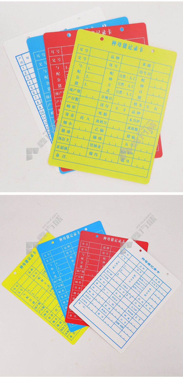 海斯迪克 加厚双面母猪病例卡 HK-5077 15*20cm 0.6毫米蓝色母猪卡（10张） (单位:包)-融创集采商城