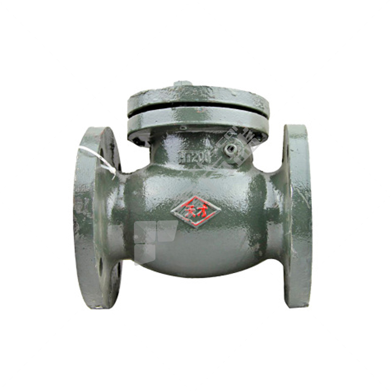 天才 铸铁法兰旋启式止回阀 专利 H44T-10-DN50 PN10【报价 规格型号 采购价格 品牌】-鑫方盛